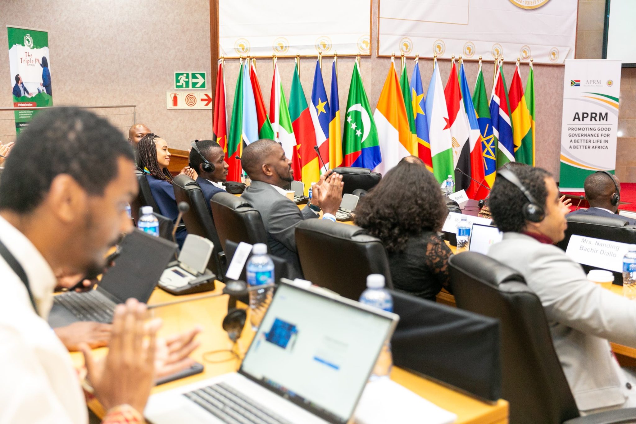 APRM Symposium wraps up with strong call to stop export of African raw ...